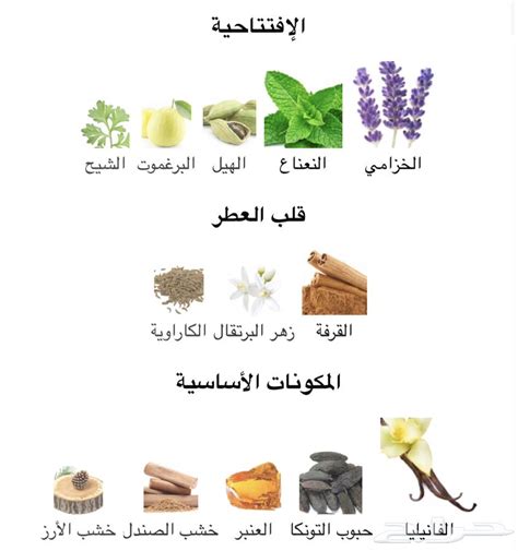 عطر لي ميل جان بول غوتييه موقع حراج