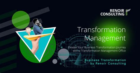 Renoir Consulting On Linkedin Businesstransformation Transformationstrategy