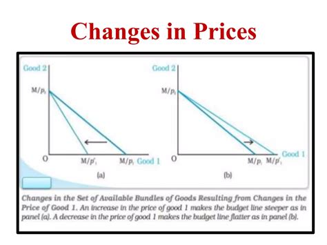 Fundamentals Of Microeconomics PPTX