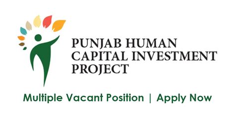 Punjab Human Capital Investment Project Phcip Jobs February 2025