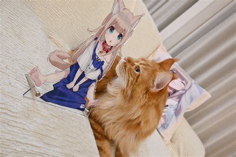 우리집 고양이가 여자애라 귀여워 22 02 01 ~ 22 09 24 [오리지널 만화] 네이버 블로그