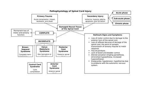 Patho Sci Pathophysiology Of Spinal Cord Injury Concept Map