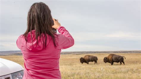 Plan Your Visit Grasslands National Park