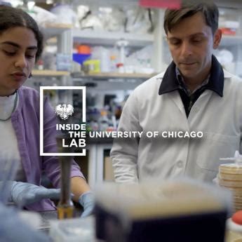 All Stories University Of Chicago News