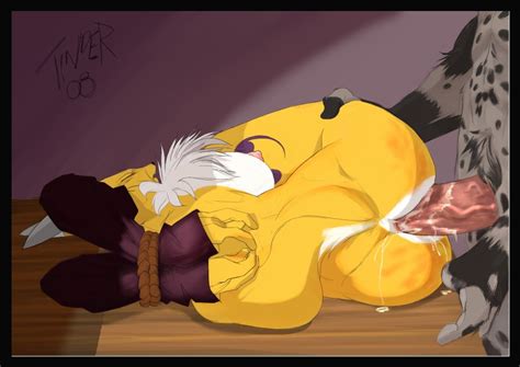 Rule 34 2008 Anal Anus Ass Bondage Breasts Digimon Furry Furry Only