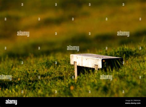A Bench On A Hillside At Staidans Rspb Great Preston West Yorkshire