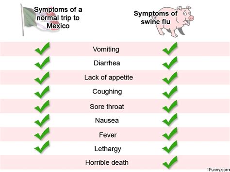 Swine Flu Diagram