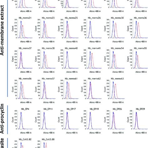 In Vitro Toxicity Assay With Individually Purified Anti Procyclic Nbs