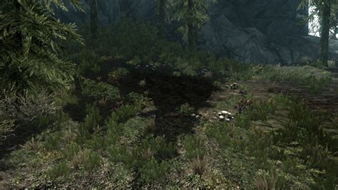 Кольцо поганки The Elder Scrolls Wiki Fandom