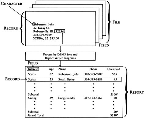 Data Base Basics