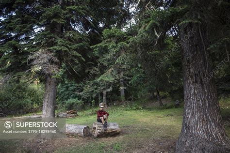 Switzerland Swiss Alps Appenzell Man Sitting On Log Between Pine