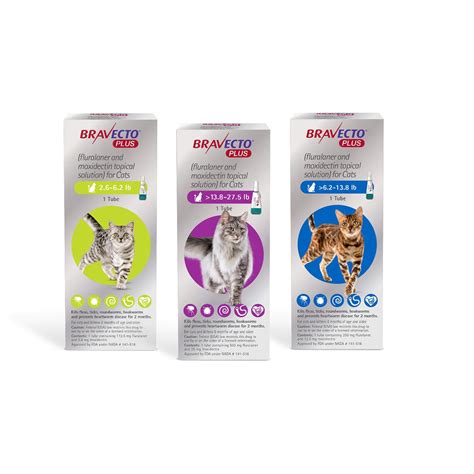 Bravecto Plus Small Cats ยาหยอดแมว ป้องกันเห็บหมัด 1 2 2 8กก