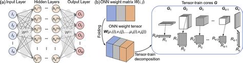 A Schematic Of The Onn Architecture With Input Layers Hidden Layers