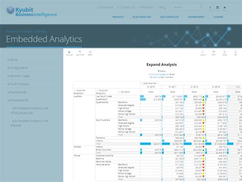 Embedded BI Features With Kyubit