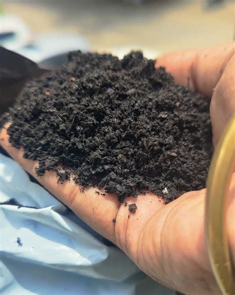 City Compost Organic Fertilizers Agro Waste Mix At ₹ 3kg In Nashik