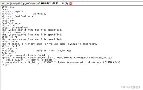 Linux环境下安装mongodb注意事项opt Demo 安装库 Csdn博客