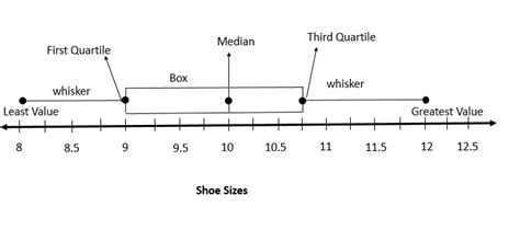 make a box and whisker plot for the data shoe sizes 12 8 quizlet
