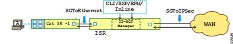 Cisco Trustsec Configuration Guide Cisco Ios Release 15mandt Cisco Trustsec With Sxpv4 Support