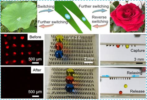 Acs Applied Materials And Interfaces Vol 14 No 32 Acs Publications
