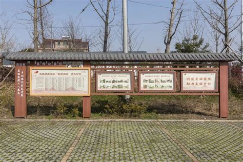 巾帼共创 干窑镇：巾帼创院绽芳华 庭院特色亮答卷澎湃号·政务澎湃新闻 The Paper