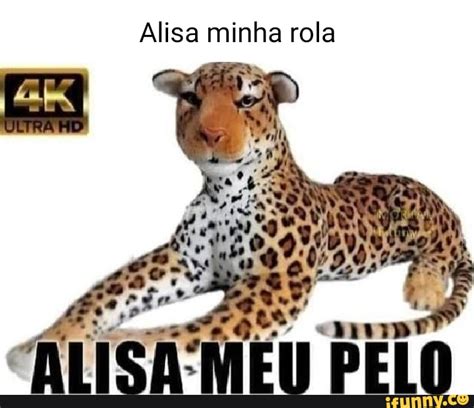 Alisa Minha Rola Ifunny Brazil