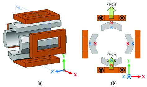 Translational VCM A Schematic Diagram Of Section View And B Download Scientific Diagram