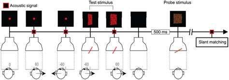 Schematic Representation Of The Temporal Sequence Of Stimulus