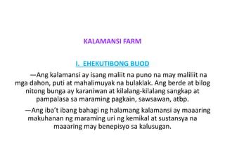 KALAMANSI FARM Pptx