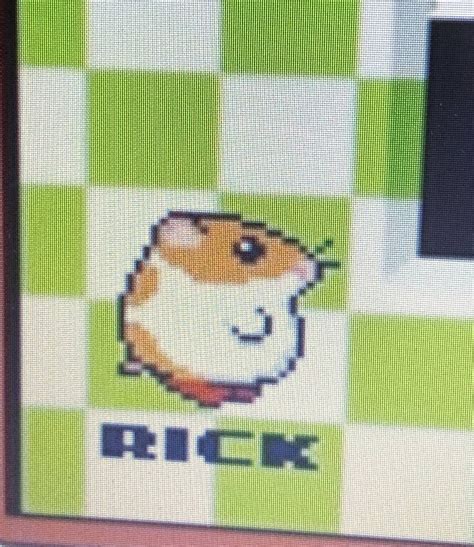 Rick Rule R 196