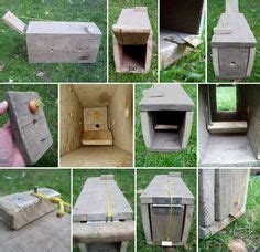 Wooden Rabbit Box Trap Plans ~ Workshop Of The Day
