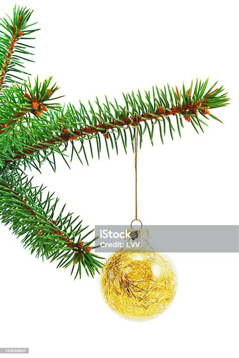 골든 크리스마스 Bauble 매달기 한 스프루스 지점 0명에 대한 스톡 사진 및 기타 이미지 0명 가문비나무 계절