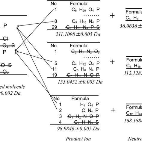 Example Of Candidate Elimination Using The Algorithm Msmsfilterexe
