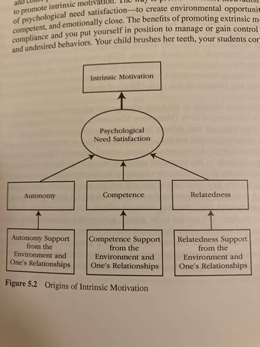 Extrinsic Motivation And Internalisation Flashcards Quizlet