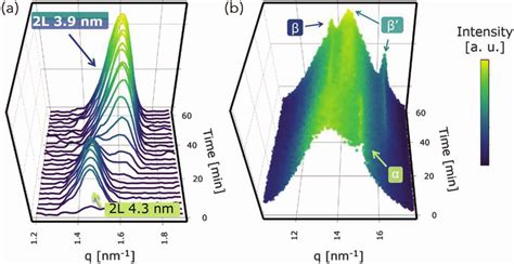 Time Resolved X Ray Diffraction Patterns Of Anhydrous Milk Fat