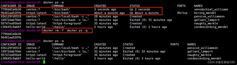 Docker的安装部署及优化详解（汇总版，学习docker这一篇就够了）exec Opts Csdn博客