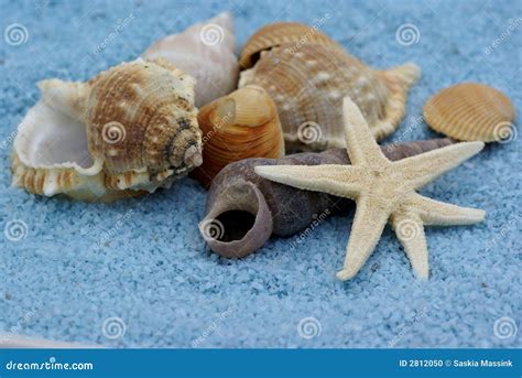 Blue Granular Structure Grainy Texture Stock Image