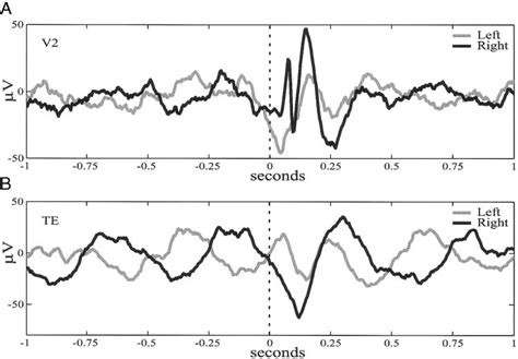Saccade Triggered Averaging Of Local Field Potentials From 54 Download Scientific Diagram