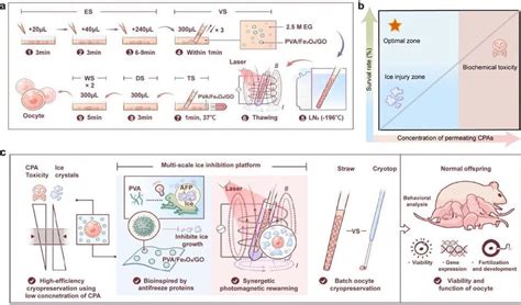 Multi Scale Nanomaterial Based Ice Inhibition Platform Enables Full