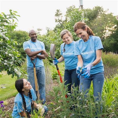 Volunteer Strategy