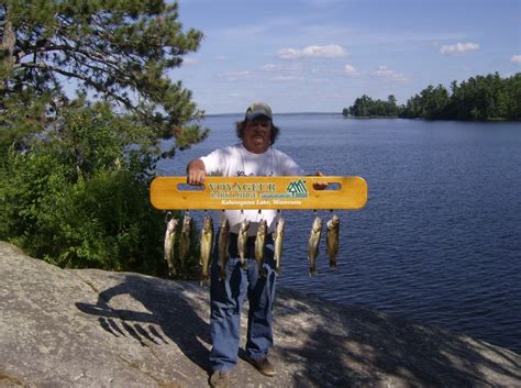 Fishing Lake Kabetogama Minnesota Fishing Resort Walleye Fishing