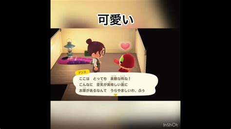 キャンパーアンヌちゃん Animal あつ森 Shorts あつ森 動画まとめ