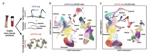 单细胞多组学解决方案 分析
