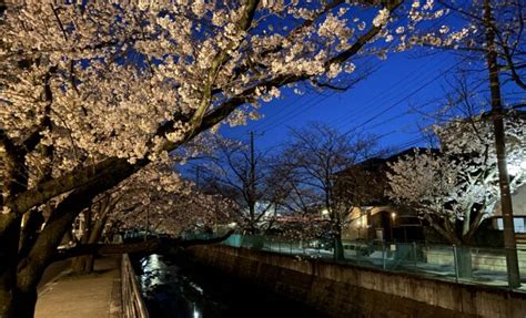川崎市麻生区と王禅寺 Zenjiro 通信