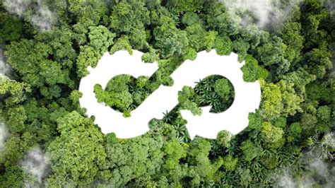 How Can Biotechnology Bring Us One Step Closer To A Circular Economy
