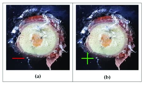 Calculation Of The Radii Of Ellipses Calculation Of The Radii Of Download Scientific Diagram