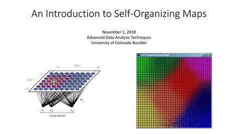 ppt an introduction to self organizing maps powerpoint presentation free download id 8896354