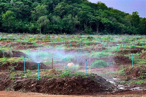 Thairains Innovation Iot Irrigation System Winrock International