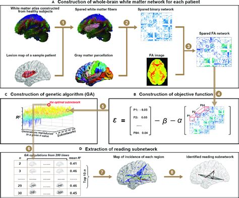 Flow Chart Of The Network Based Lesion Symptom Mapping Nlsm