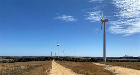 One Of My Colleagues Ed Boucaut Continues To Impress With His