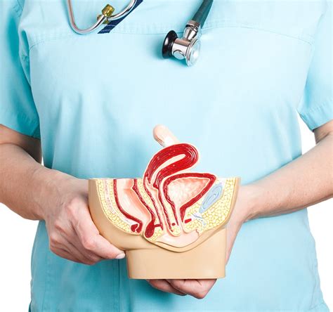 Vaginal Tightening Surgery In Iran Prices Irantreatments Plastic Surgery In Iran